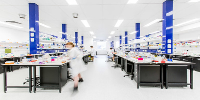 Postgraduate research candidates | Research